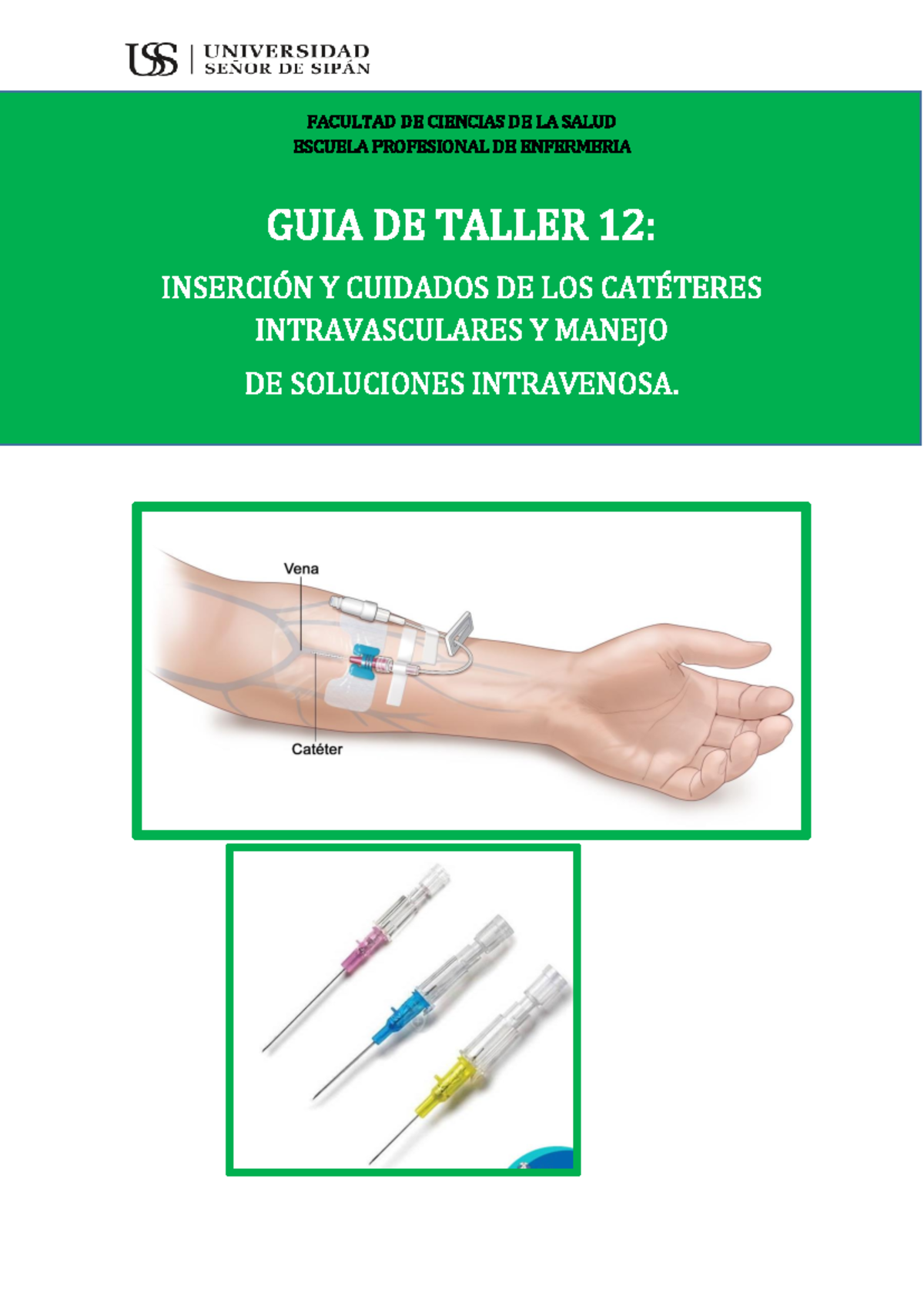 001 GUIA Taller 12 Insercion Y Cuidados DE Cateter Endovenoso ...