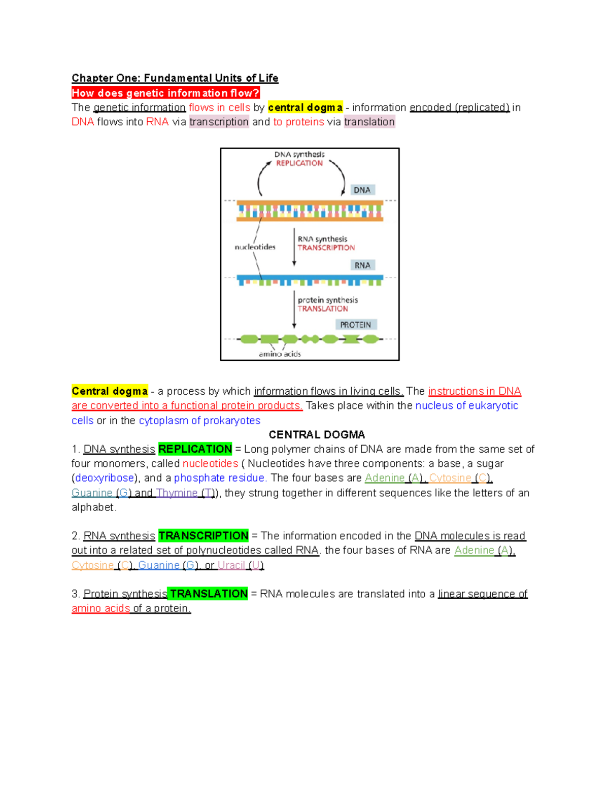 Exam#1 study guide - Chapter One: Fundamental Units of Life How does ...