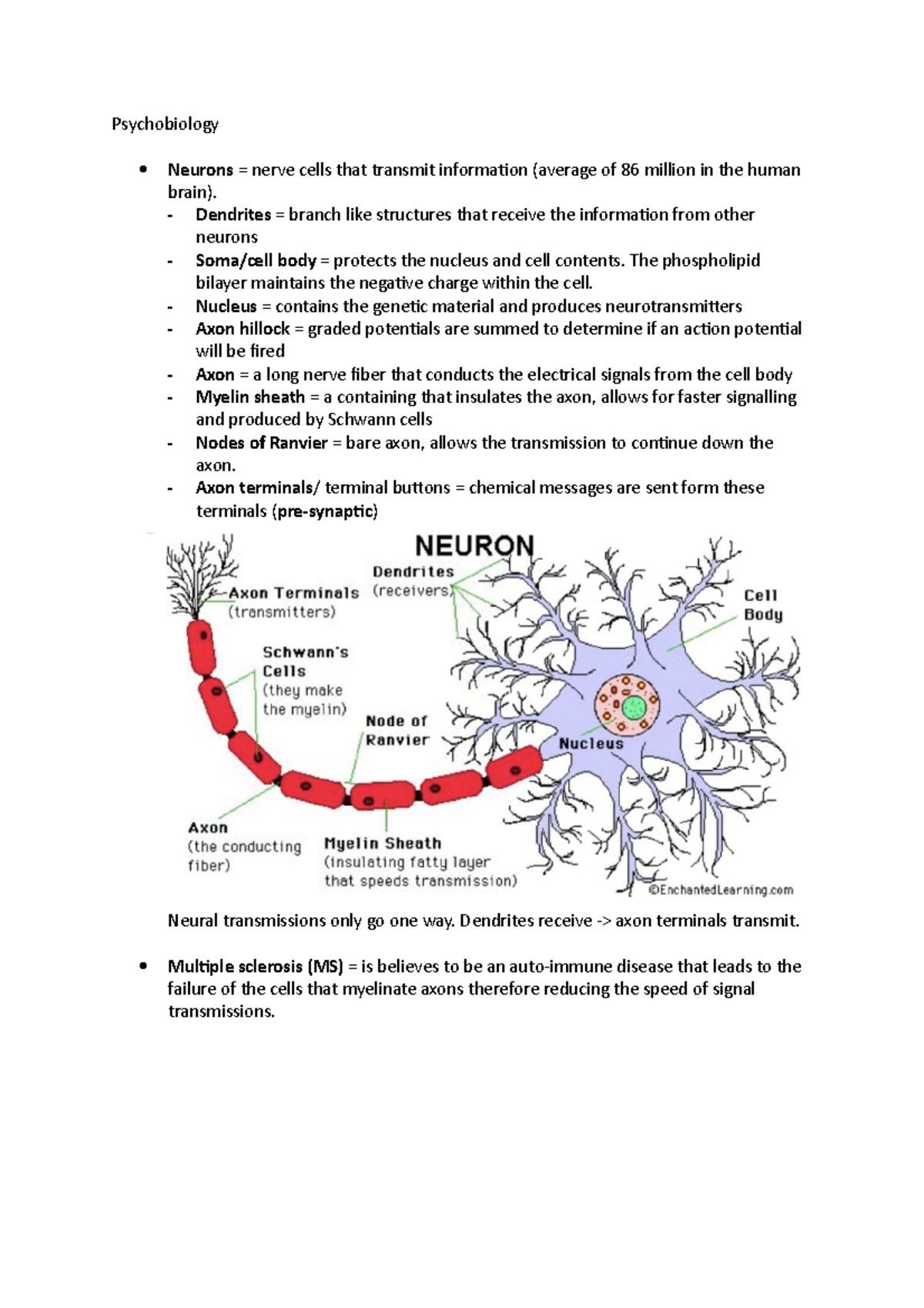 Psychobiology - full lecture notes on psychbiology - Psychobiology ...