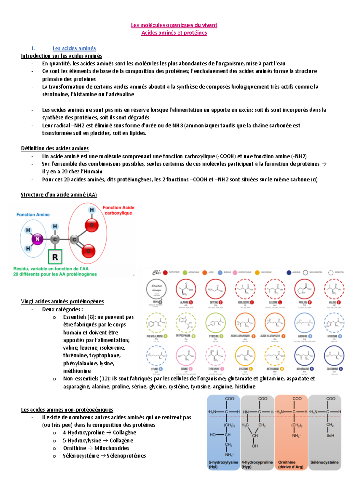 Les molécules organiques (acides aminés et protéines) - Les molécules ...