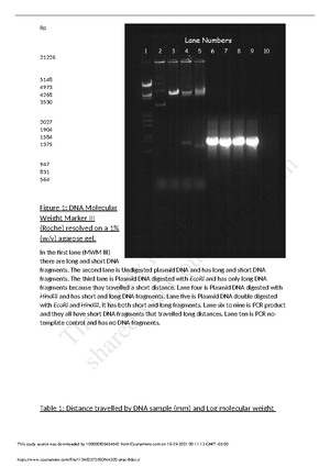 Tutorial Worksheet 10 LAST Week 13 2022 9Q Gene Mapping - Genetics 240 ...