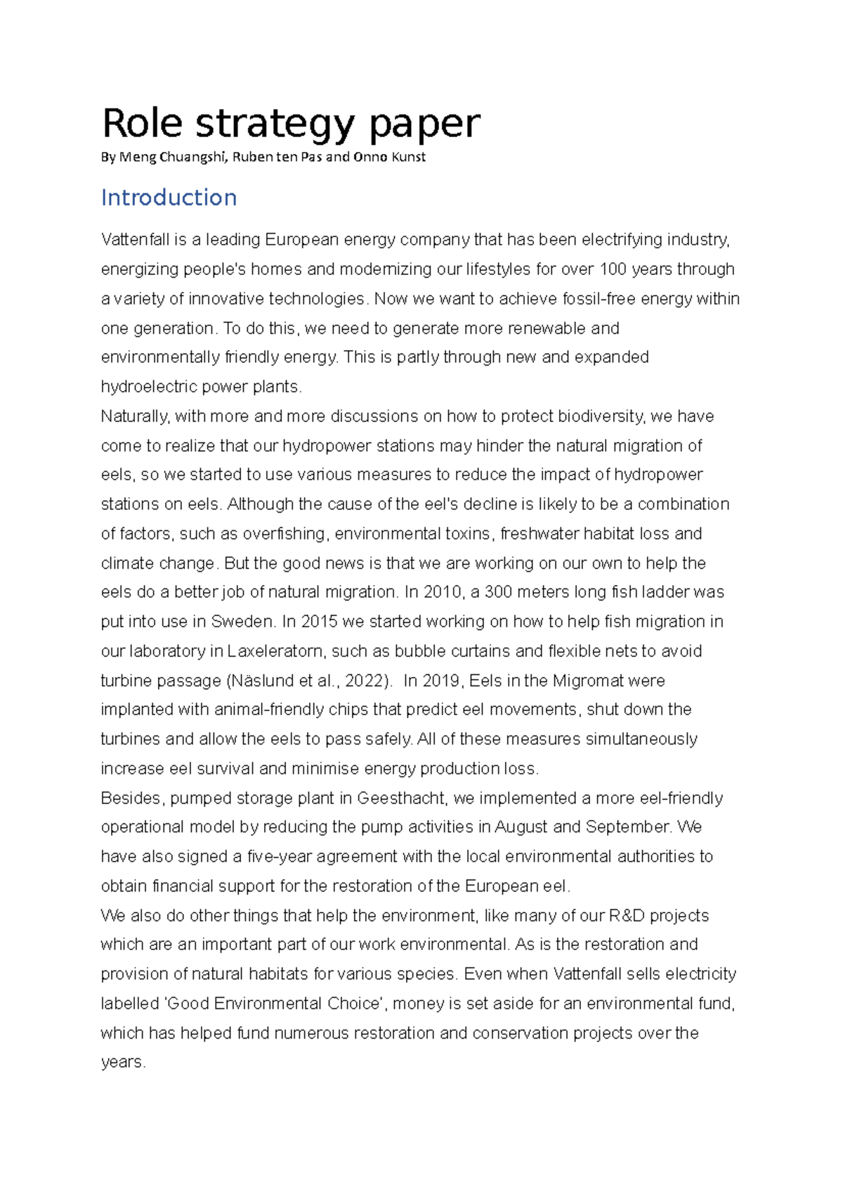 Role Strategy Paper Vattenfallgroup B - Role strategy paper By Meng ...