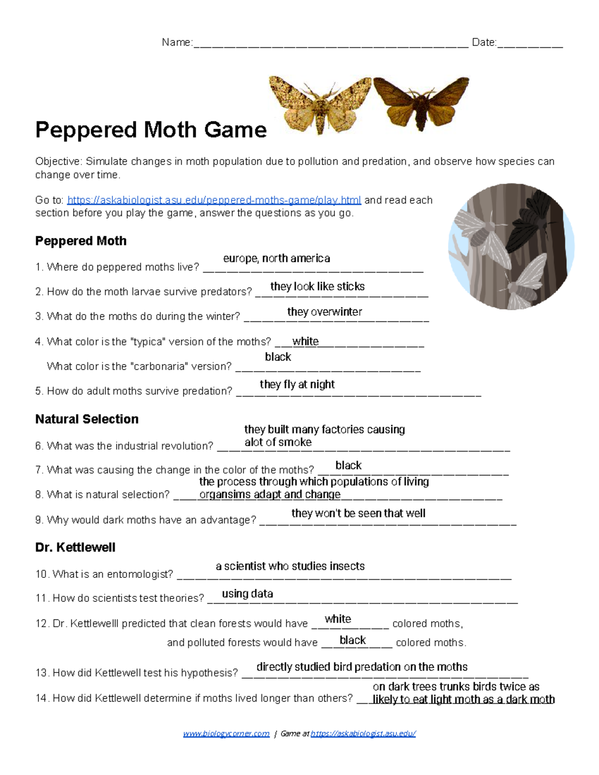 Peppered Moth Game (1) (1).pdf joshua huie - Name