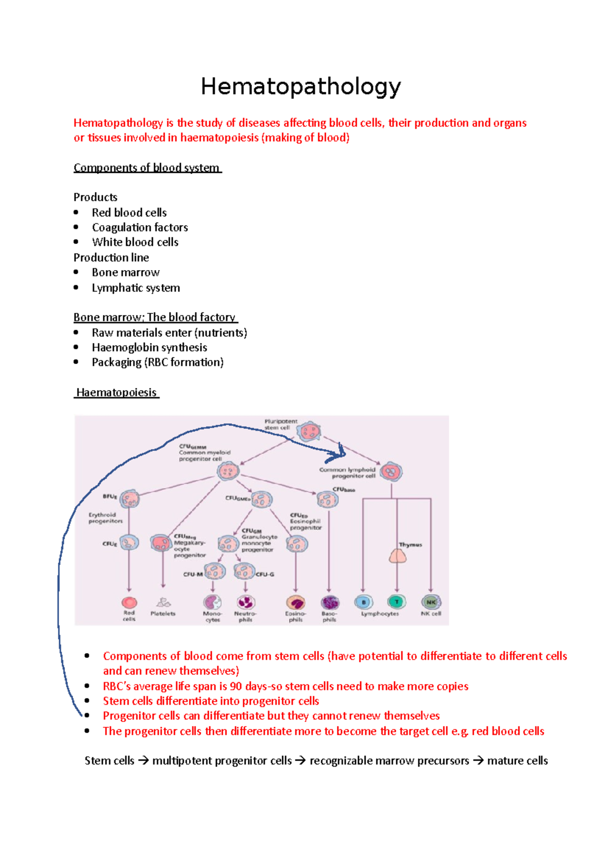Tissue Pathology-Haematopathology - Hematopathology Hematopathology is ...
