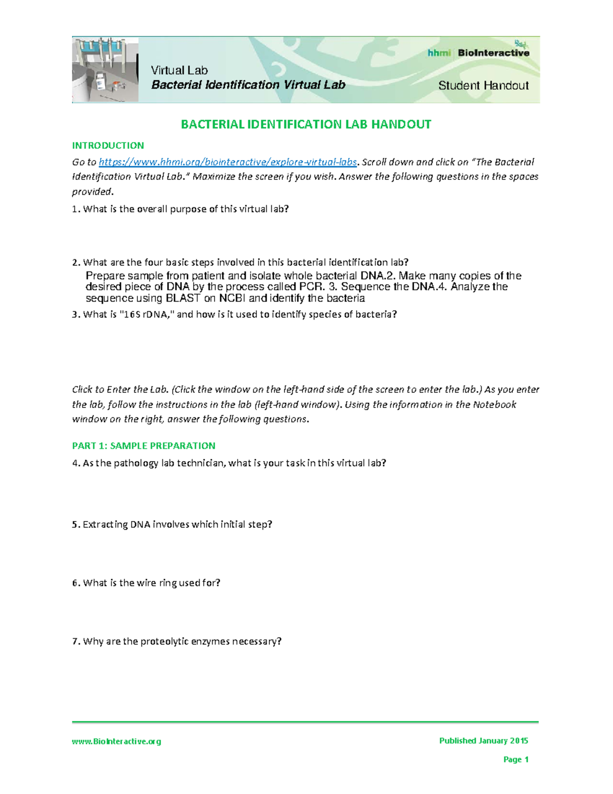 Bacterial-Identification-Lab-Worksheet-Student - BioInteractive ...
