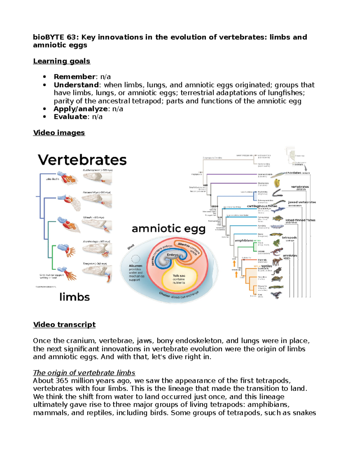 1802.Notes guide.bio BYTE 63 - bioBYTE 63: Key innovations in the ...