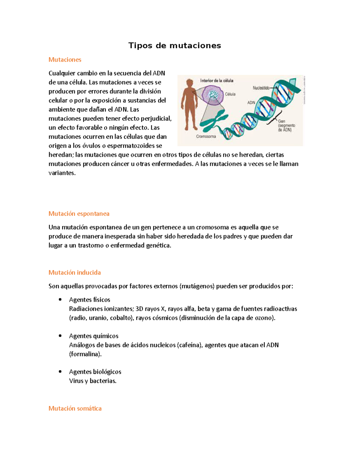 Tipos de mutaciones - Tipos de mutaciones Mutaciones Cualquier cambio ...