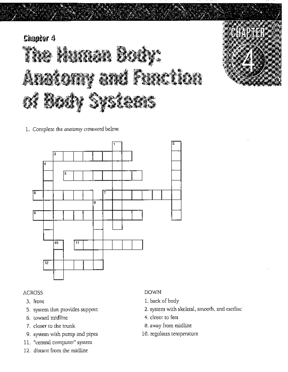 Anatomy extra tasks- English for biomedical engineering students ...