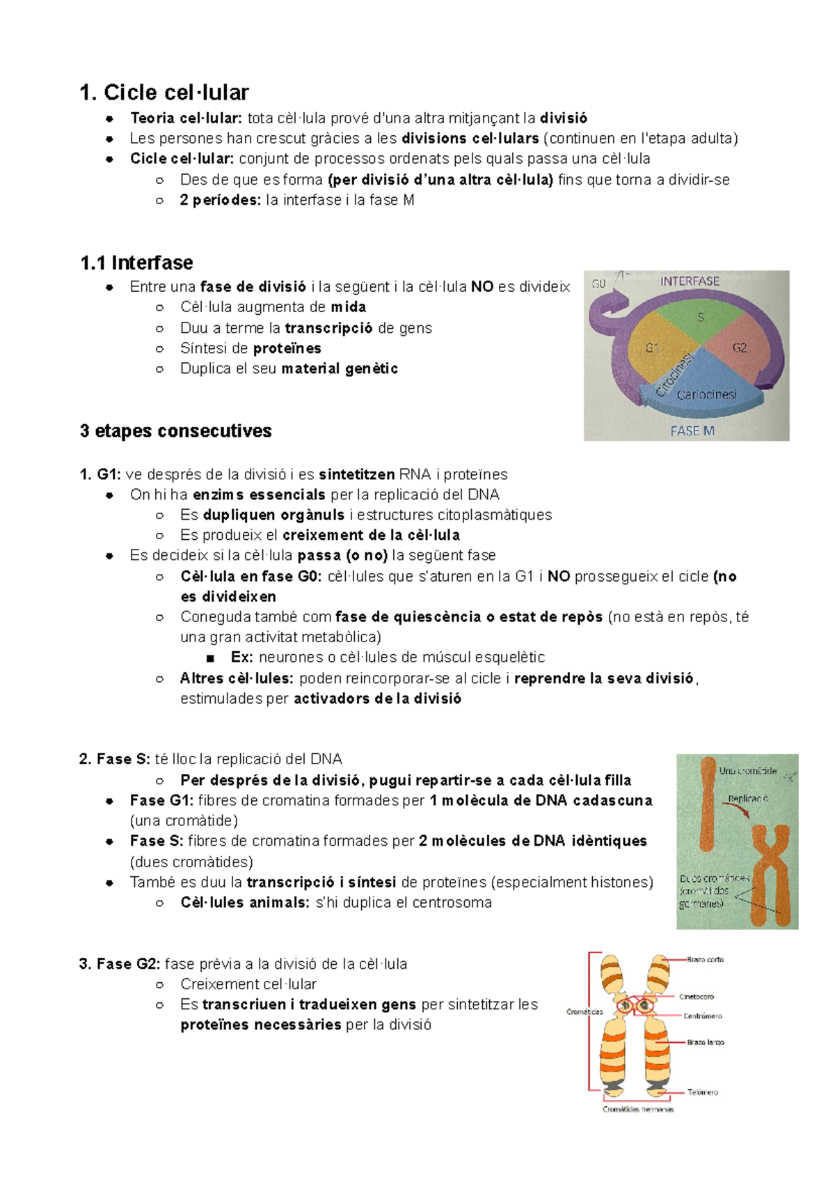Cicle celular i càncer - 1. Cicle cel·lular Teoria cel·lular: tota cèl ...