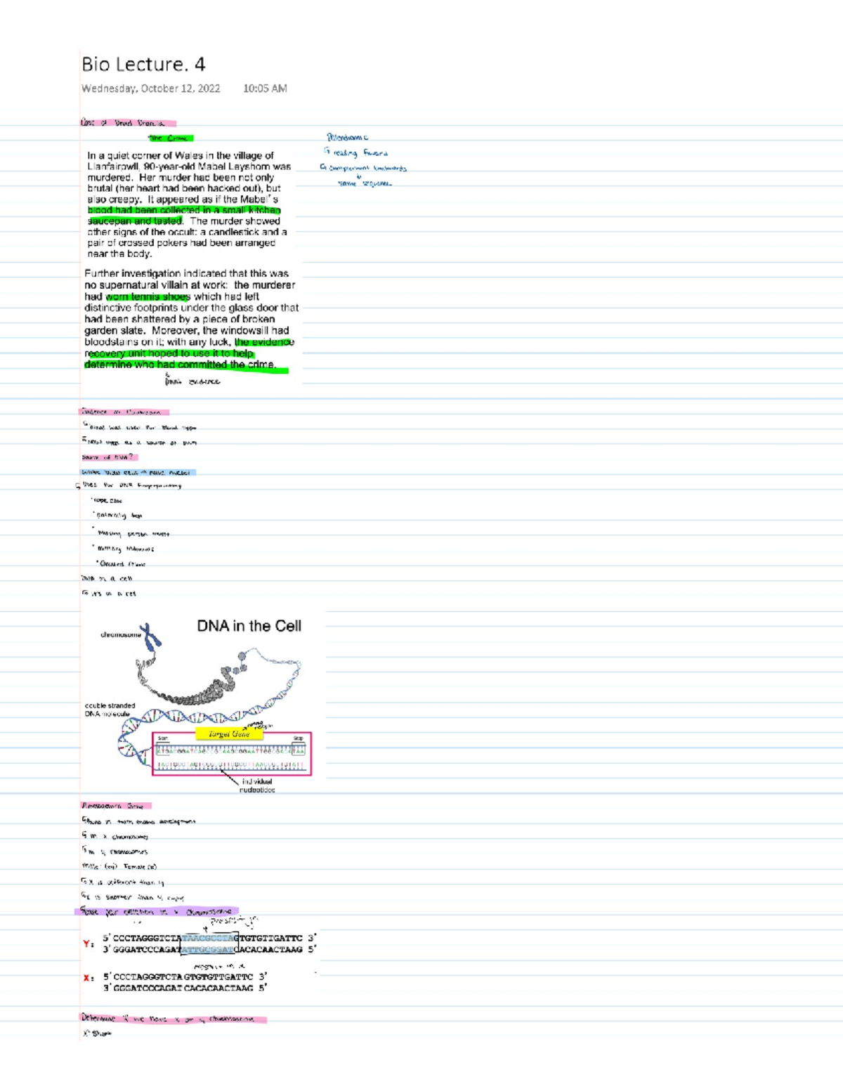Gene Expression - Pictures and Lecture Notes - BIOSC 0160 - Pitt - Studocu