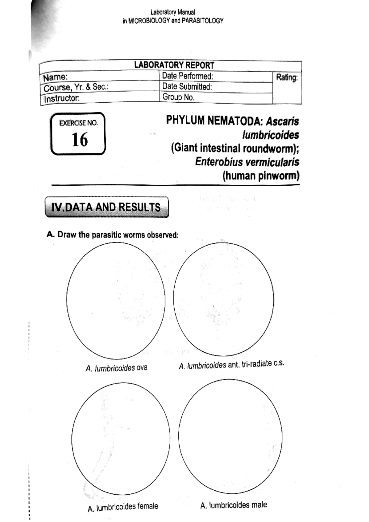 Parasitology - Lab Act. #16 to #21 - Microbiology & Parasitology - Studocu