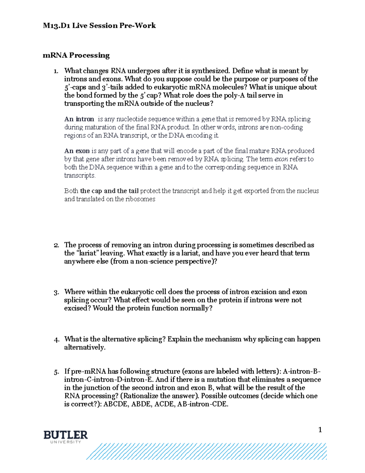 M13 - Pre work - mRNA Processing What changes RNA undergoes after it is ...