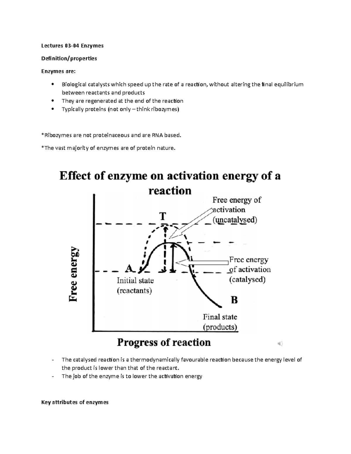 Enzymes - Lecture notes 3-4 - Lectures 03-04 Enzymes Definition ...