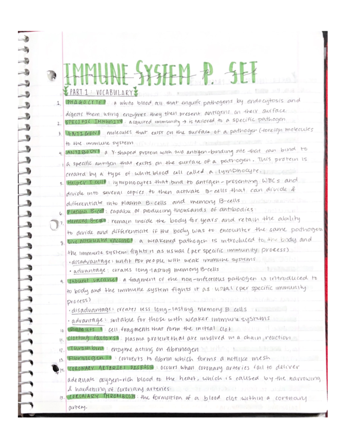 Immune System Review - BIO 202 - Studocu