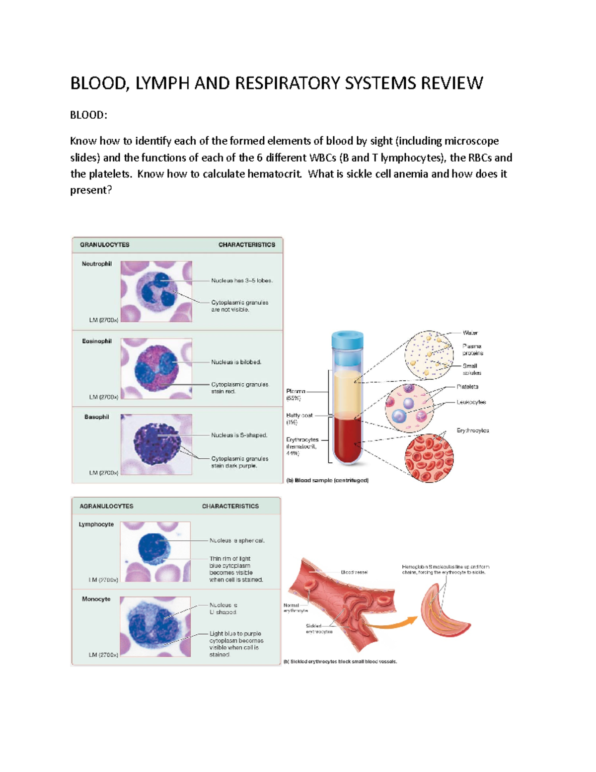 Blood, Lymph, Respiratory LAB Review - BLOOD, LYMPH AND RESPIRATORY ...