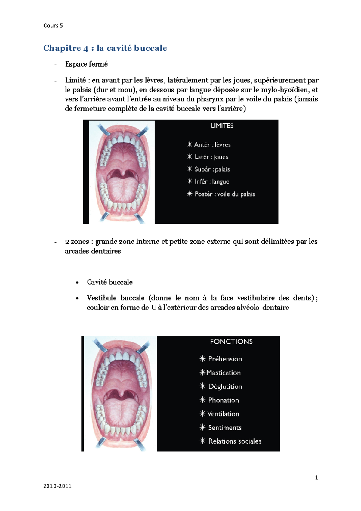 Anatomie Am Cours 5 - Chapitre 4 : la cavité buccale Espace fermé ...