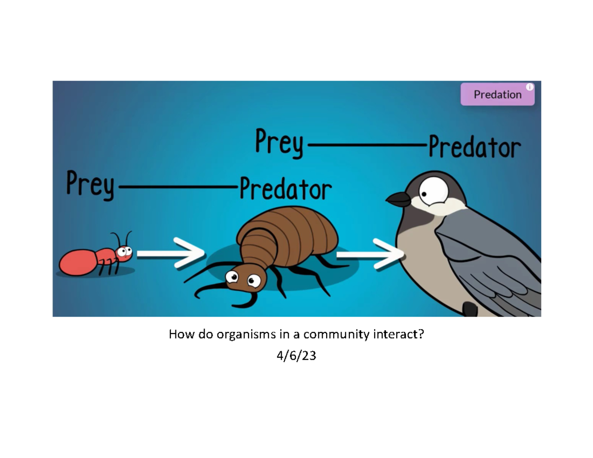 Ecology - How do organisms in a community interact? 4/6/ Learning ...