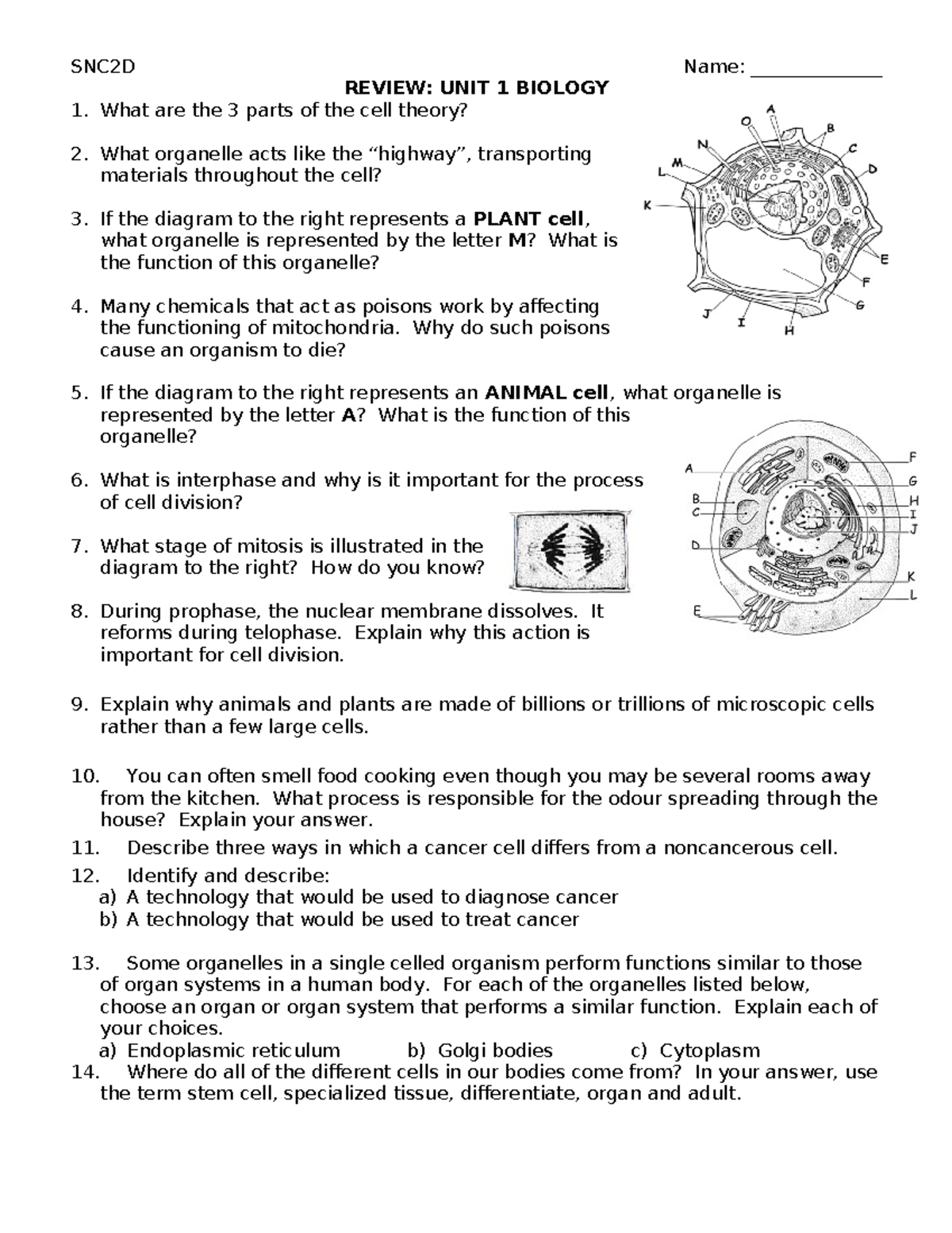 Biology Review - SNC2D Name: ______________ REVIEW: UNIT 1 BIOLOGY What ...