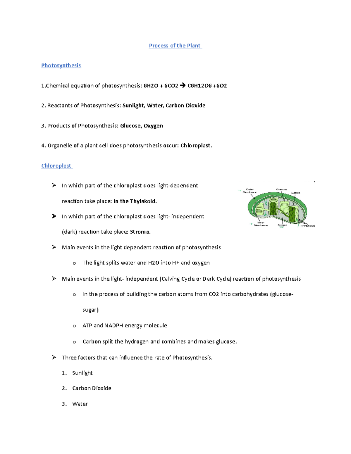 Process of the Plant - Lecture notes Chapter 3 - Process of the Plant ...