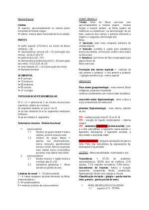 Embriogénesis del sistema nervioso central - Warning: TT: undefined function: 32 Warning: TT ...