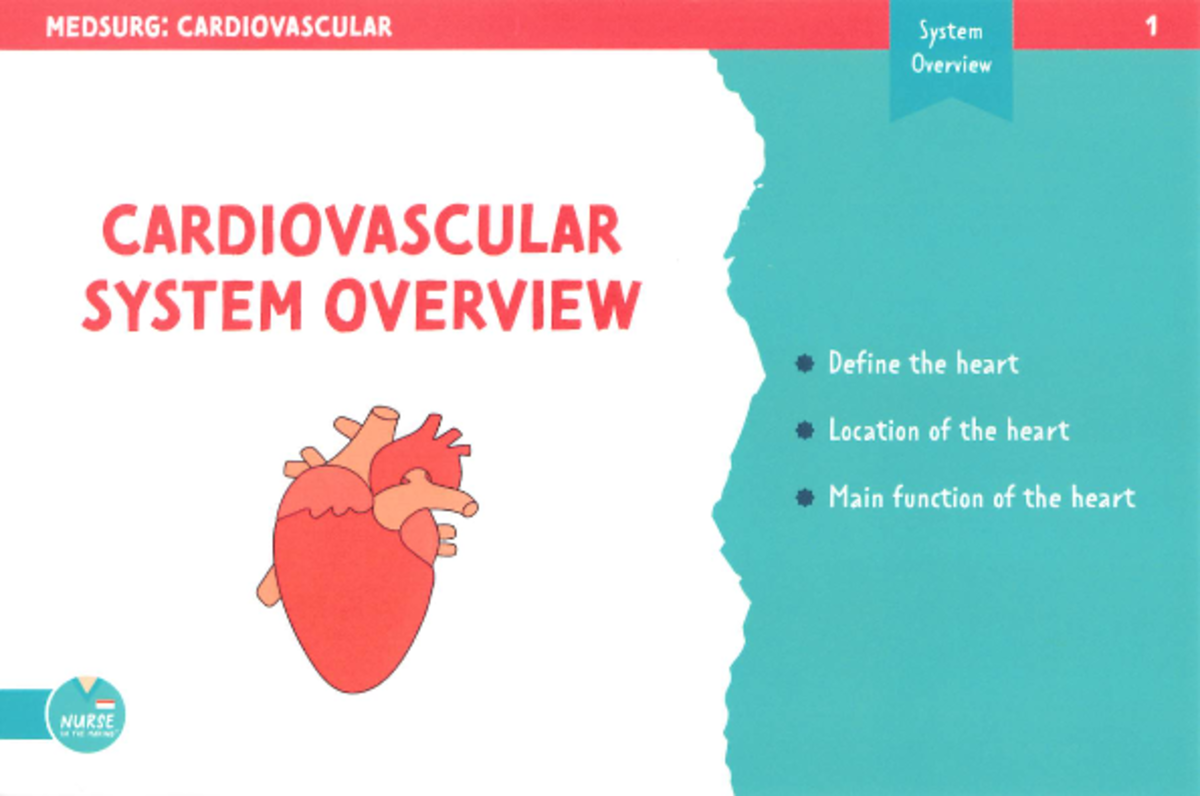Cardiovascular System Overview 1 - NSG 110 - Studocu