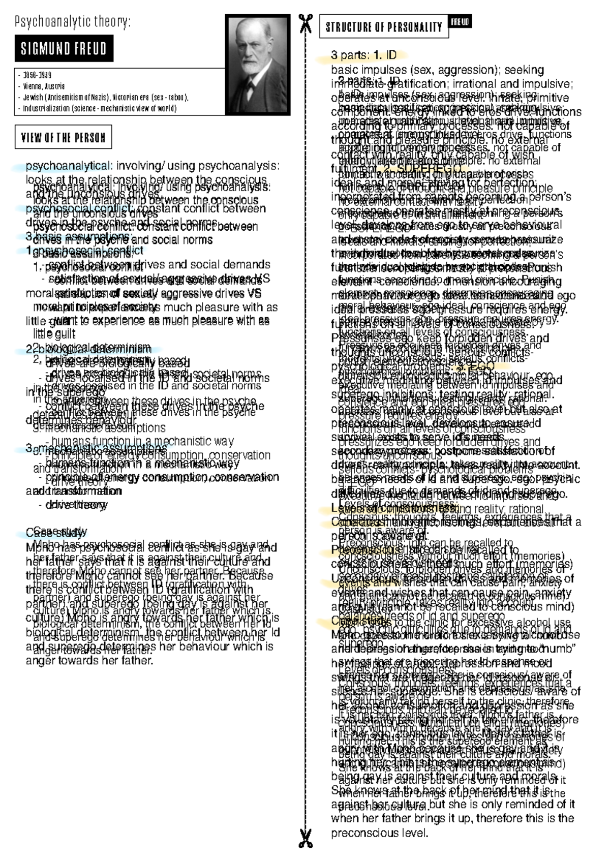 PSYC 211 case study (1) - PSYC211 - Psychoanalytic theory: VIEW OF THE ...