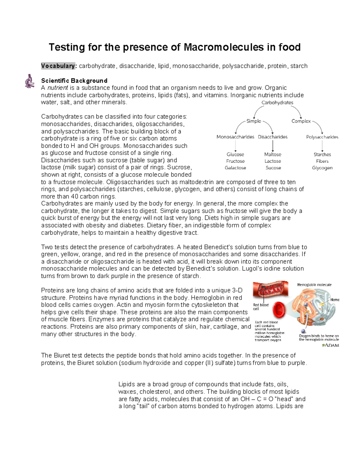 2.10 Testing for Macromolecules in food with Gizmo - Testing for the ...