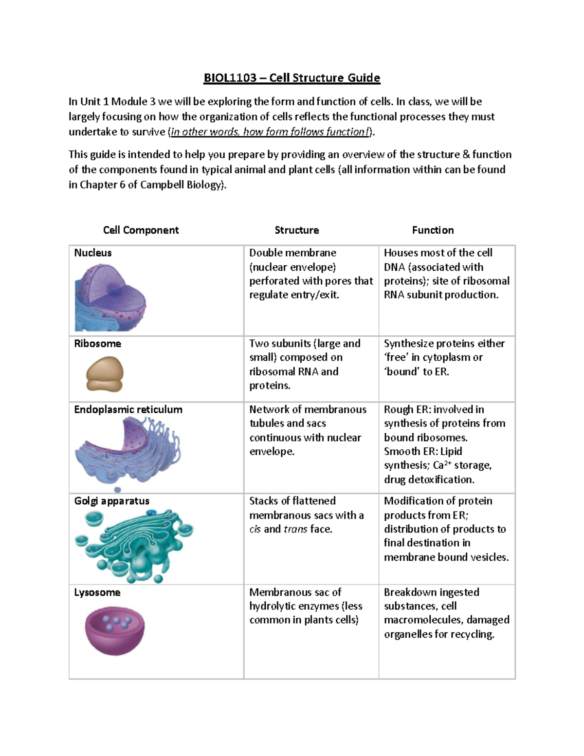 BIOL1103 - Cell Structure Guide - BIOL1103 – Cell Structure Guide In ...