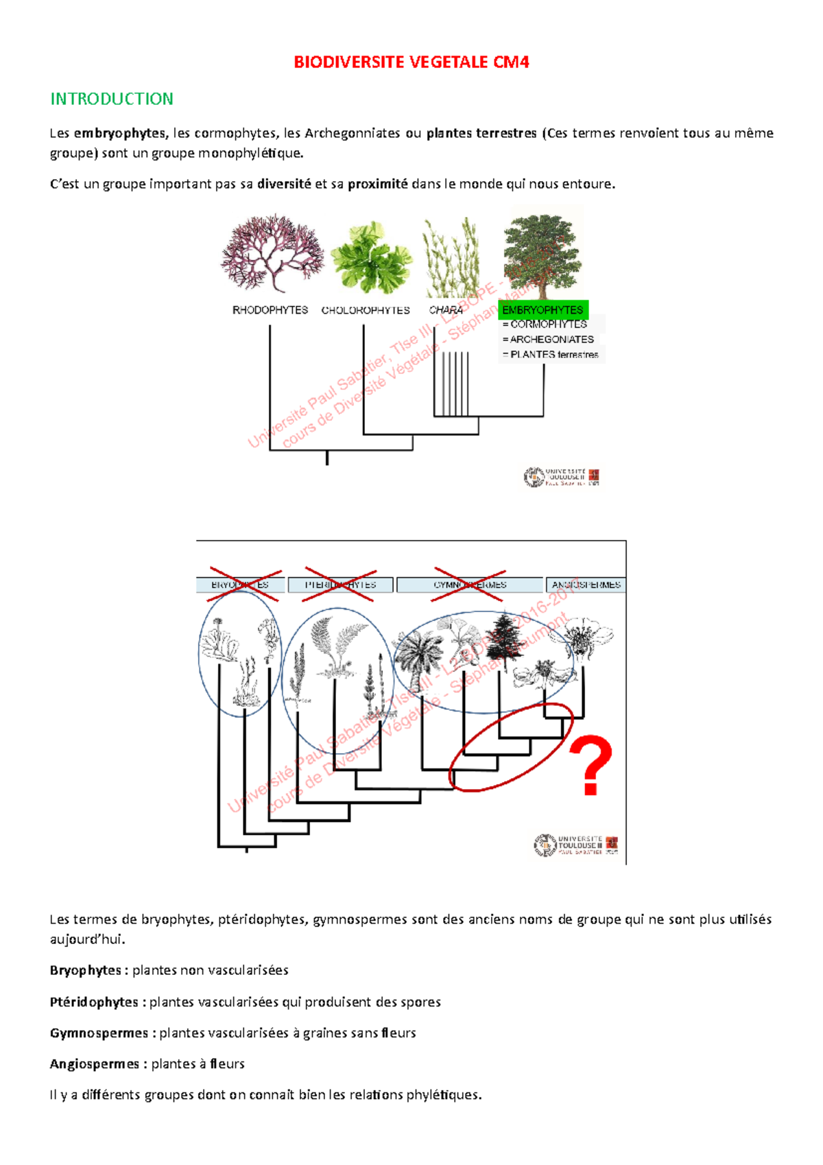 Diversite Vegetale CM4 - BIODIVERSITE VEGETALE CM INTRODUCTION Les ...