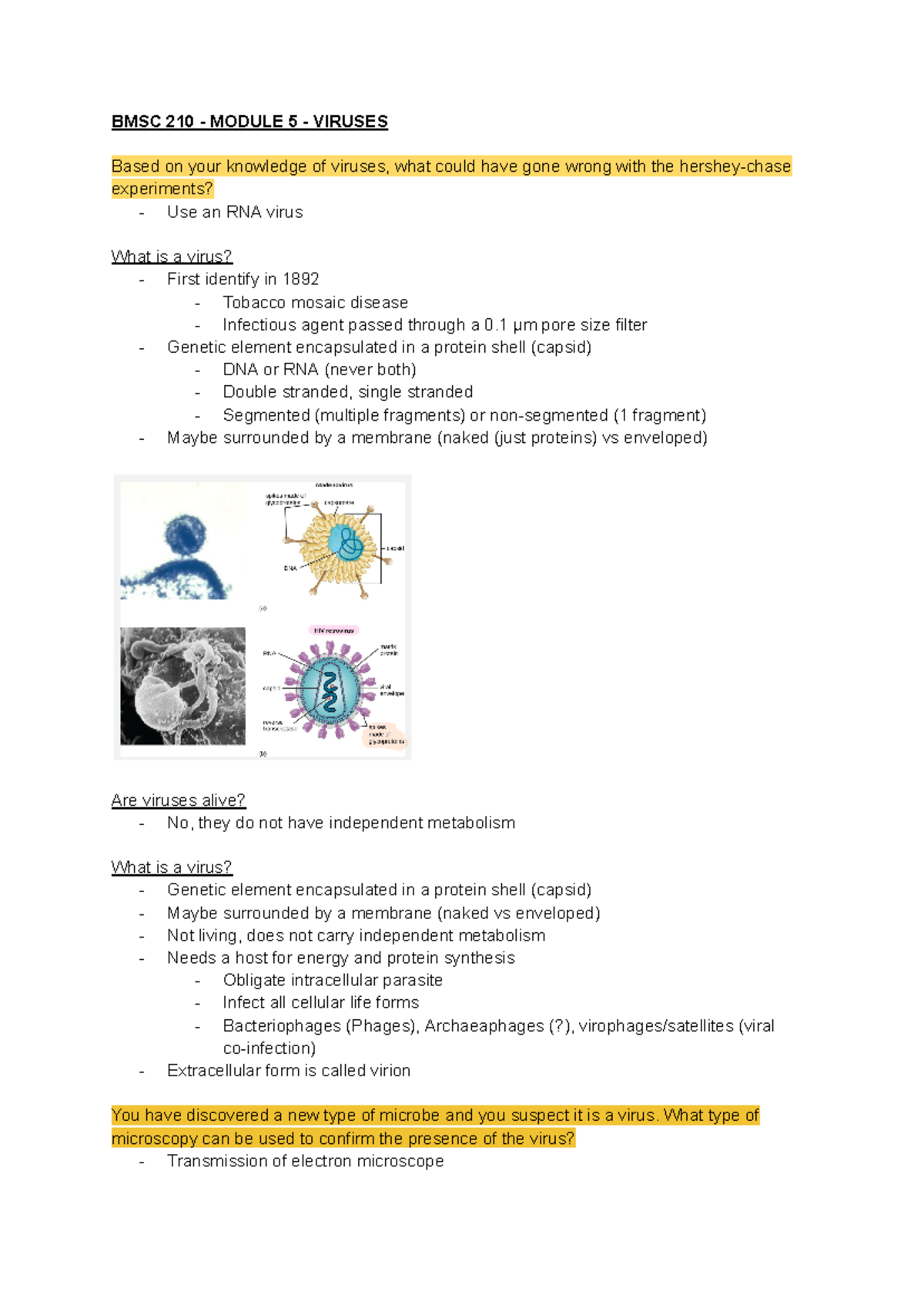 BMSC 210 - Module 5 - BMSC 210 - MODULE 5 - VIRUSES Based on your ...