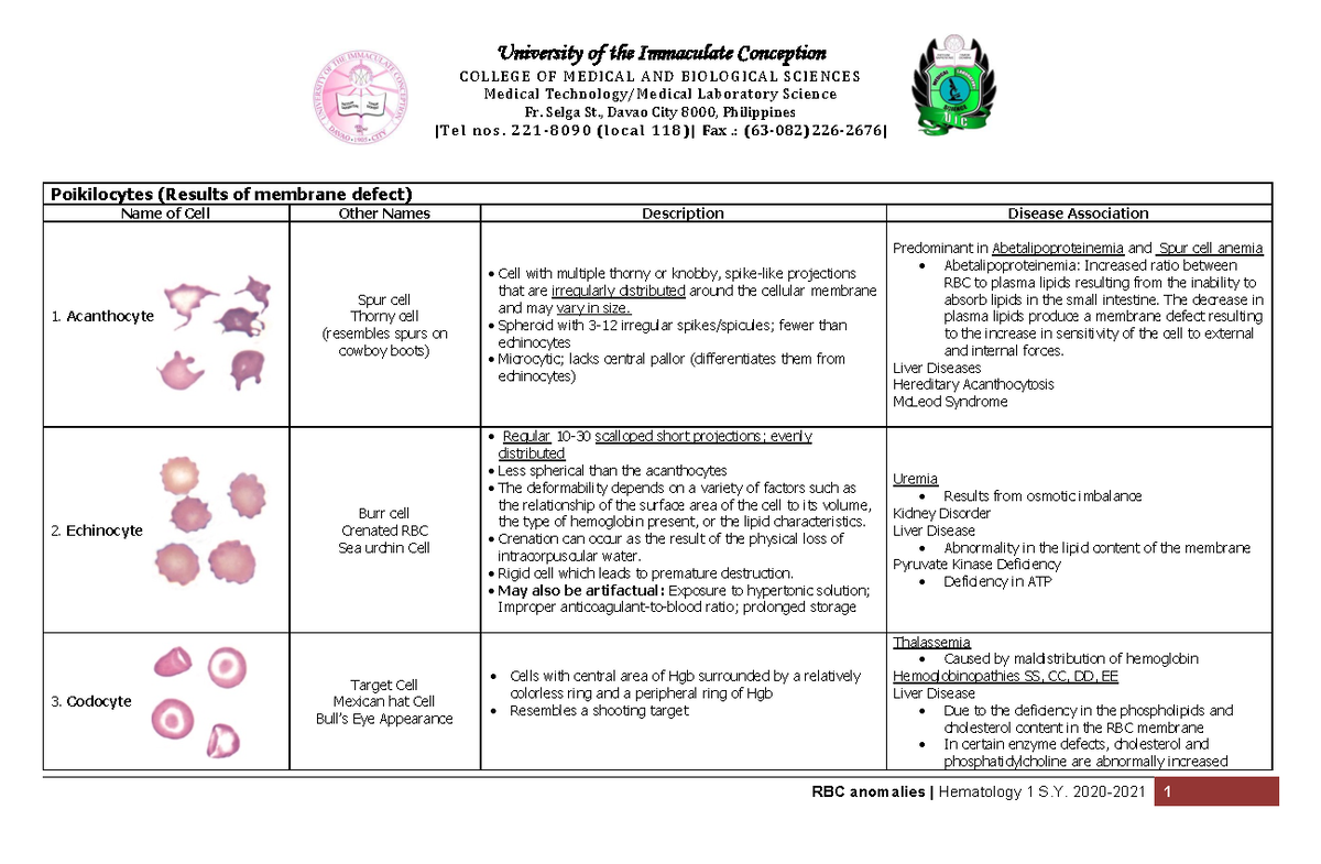 8-RBC-anomalies - vvdvdfg - COLLEGE OF MEDICAL AND BIOLOGICAL S CIENCES ...