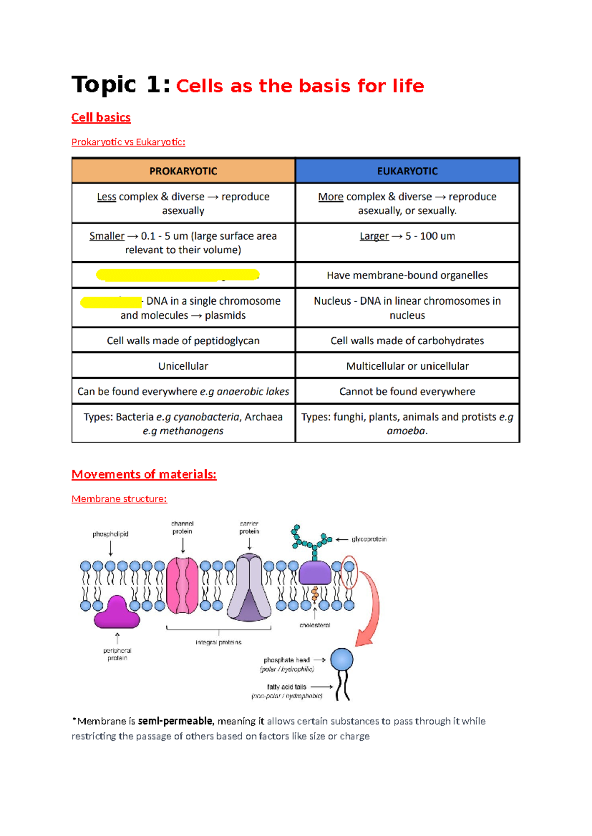 Biology notes full - Topic 1: Cells as the basis for life Cell basics ...