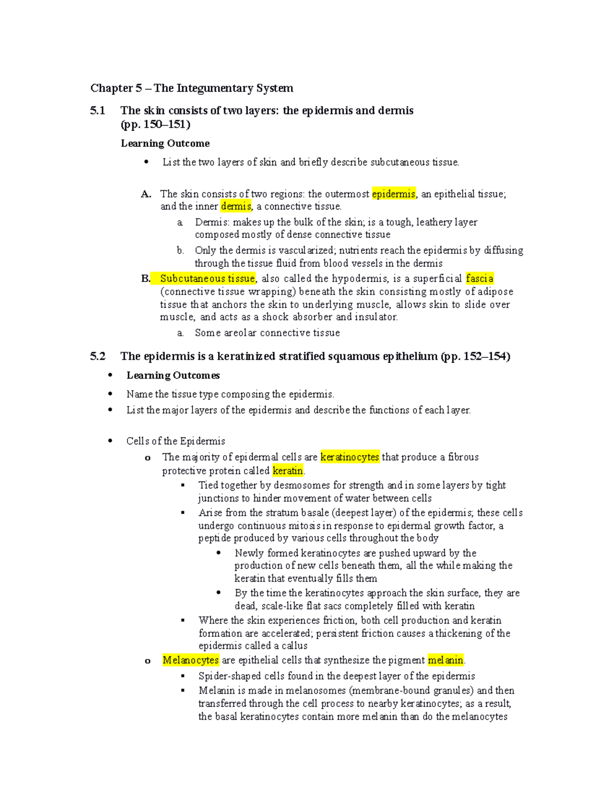 Chapter 5 – The Integumentary System - Chapter 5 – The Integumentary ...