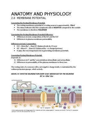 Paediatric & Neonatal BLS - Paediatric & Neonatal Basic Life Support ...