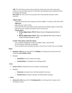 8-Aristotle-Digestive System Lesson Plan - School Year: 2022 – 2023 ...