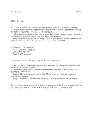 APES Unit 4 Notes - 4 Earth’s Atmosphere Exosphere: outermost layer of ...