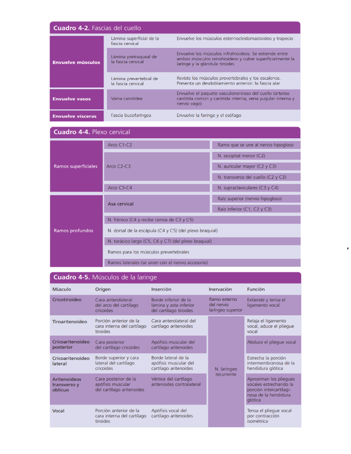 Tablas de contenidos de cuello - Anatomía Humana - W - Studocu