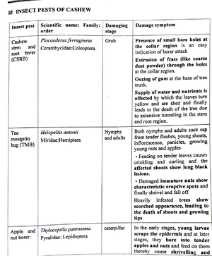 Insect pests of Jasmine - INSECT PESTS OF JASMINE Scientific name ...