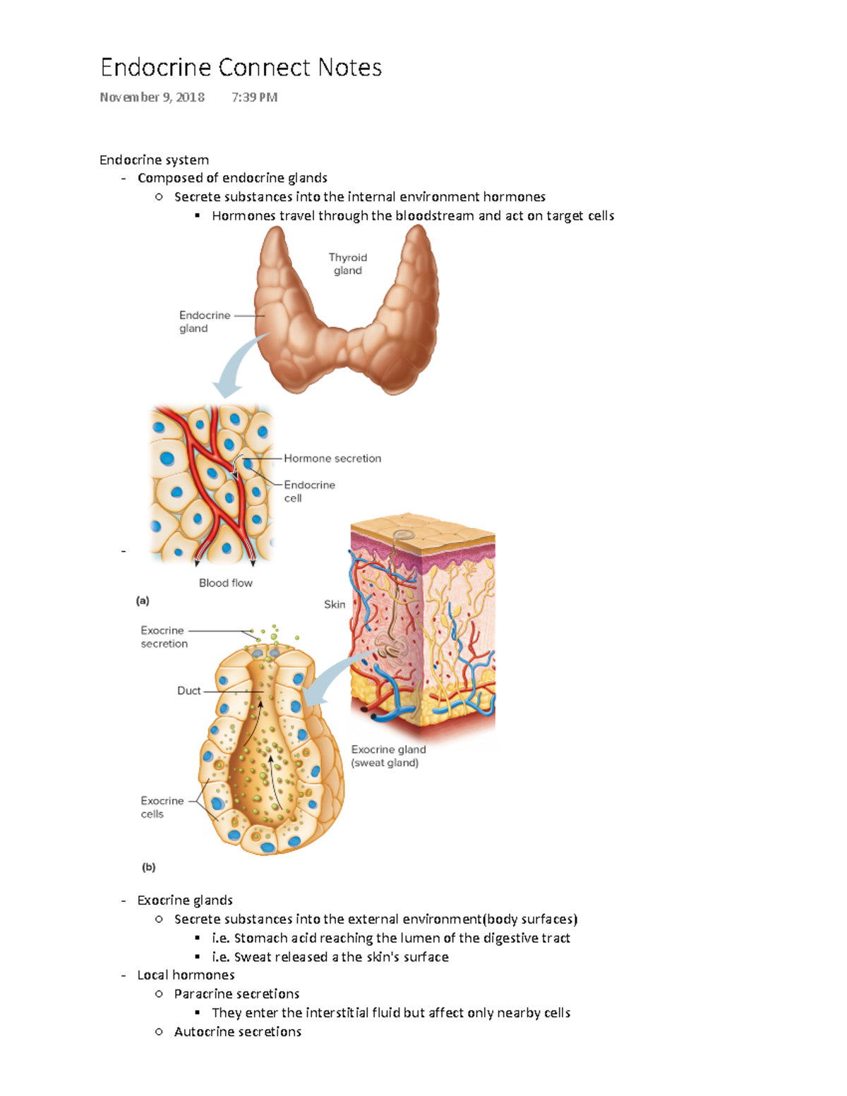 Endocrine System Notes - Endocrine Connect Notes November 9, 2018 7:39 ...