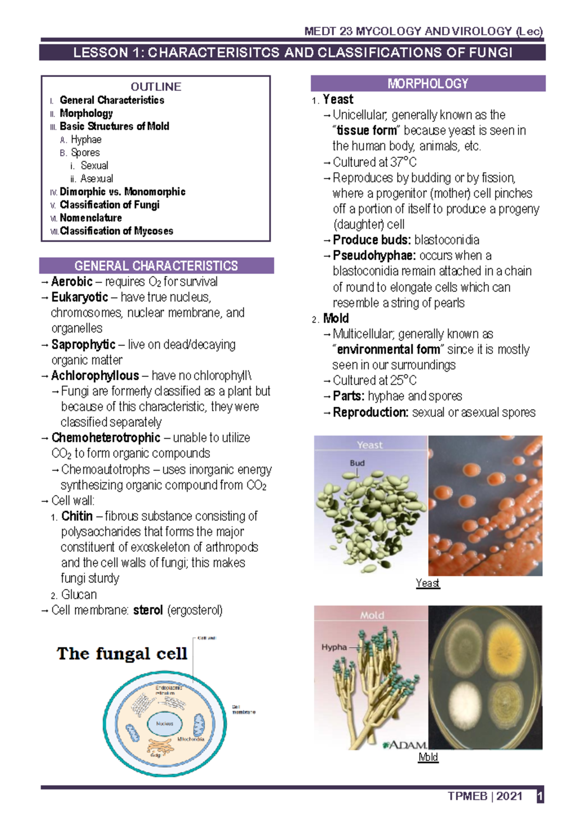 MEDT 23 - MEDTECH - LESSON 1: CHARACTERISITCS AND CLASSIFICATIONS OF ...