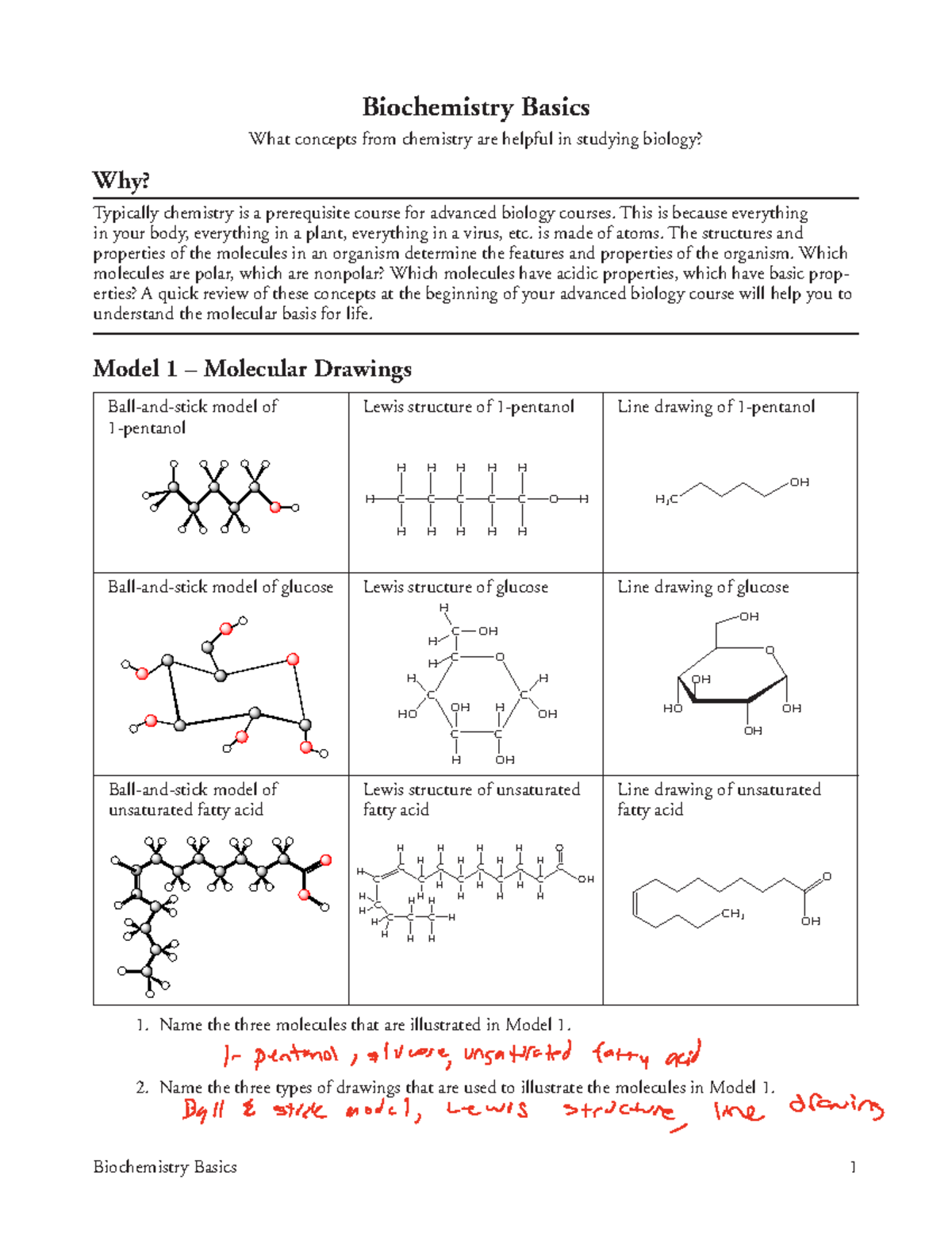 1 Biochemistry Basics-S - This is because everything in your body ...