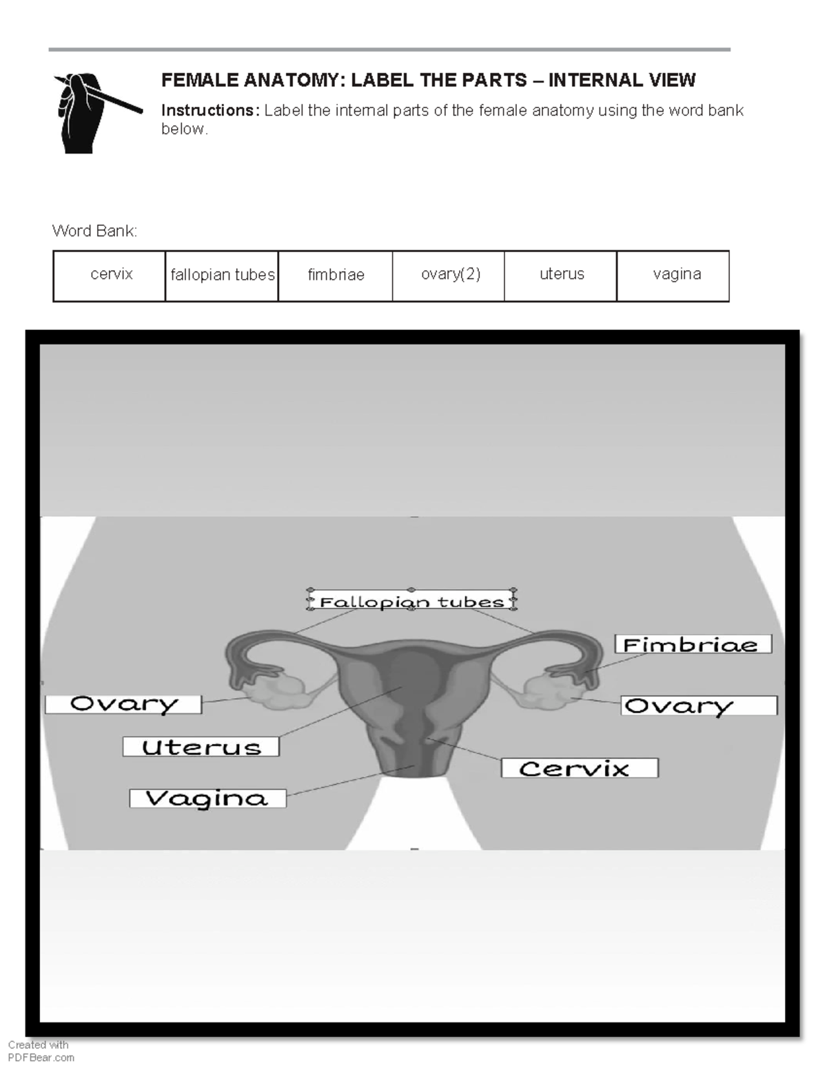 Manangan MA Allyza Manglicmot BSN 22 The Human Reproductive System ...