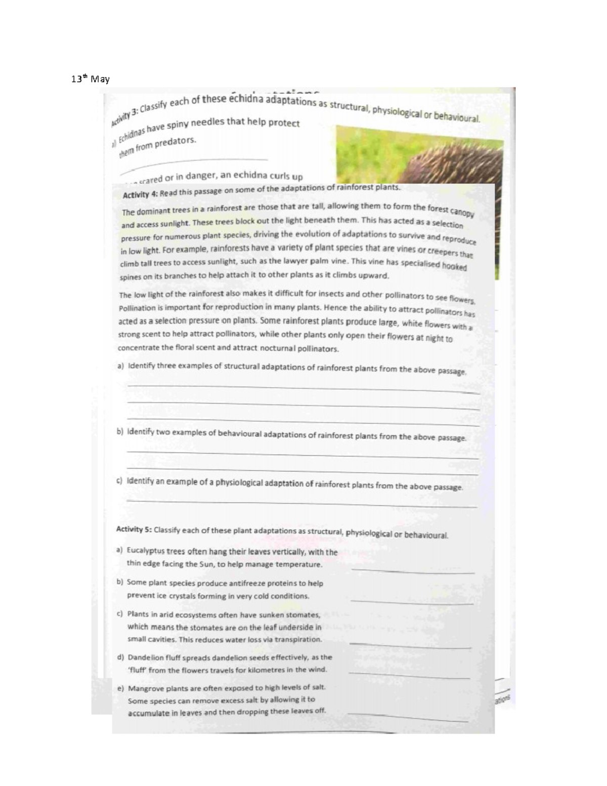 Bio 13th may - Biology Summary/Notes - 13 th May Activity 1: Elephant ...