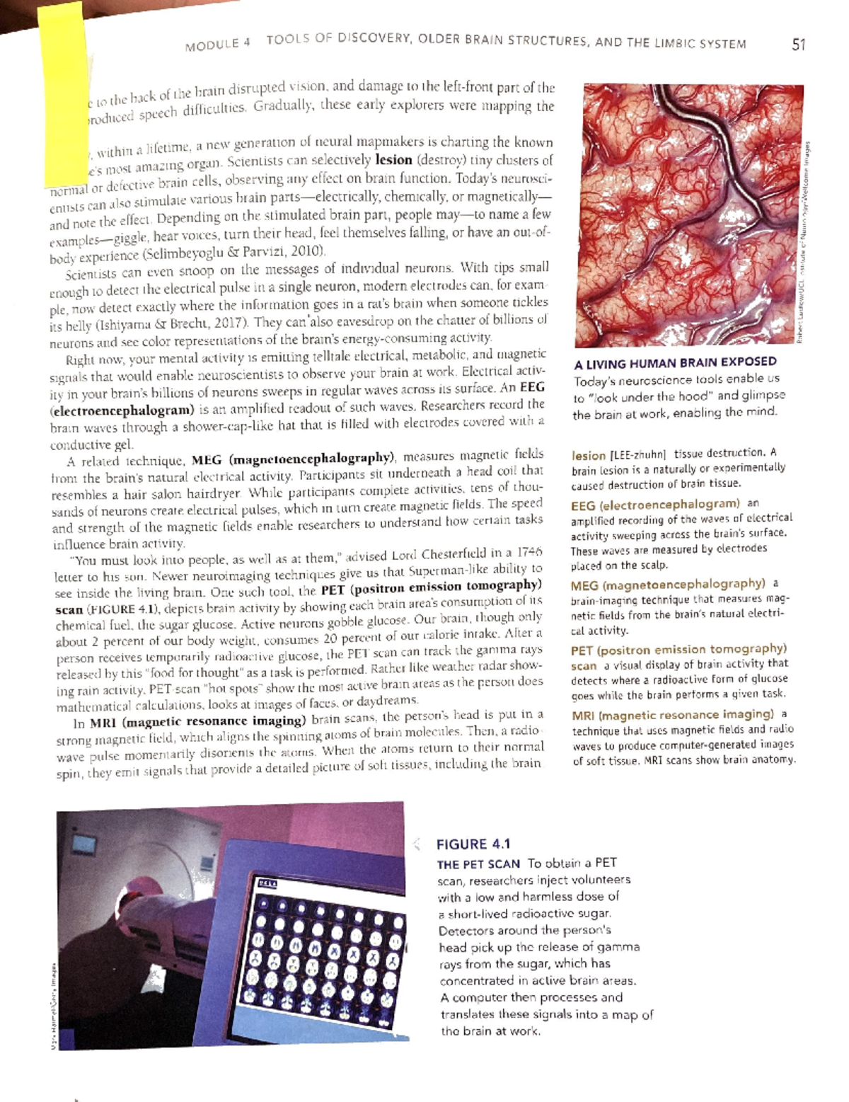 Psych Mod 4-5 - Textbook - PSY 111 - Studocu