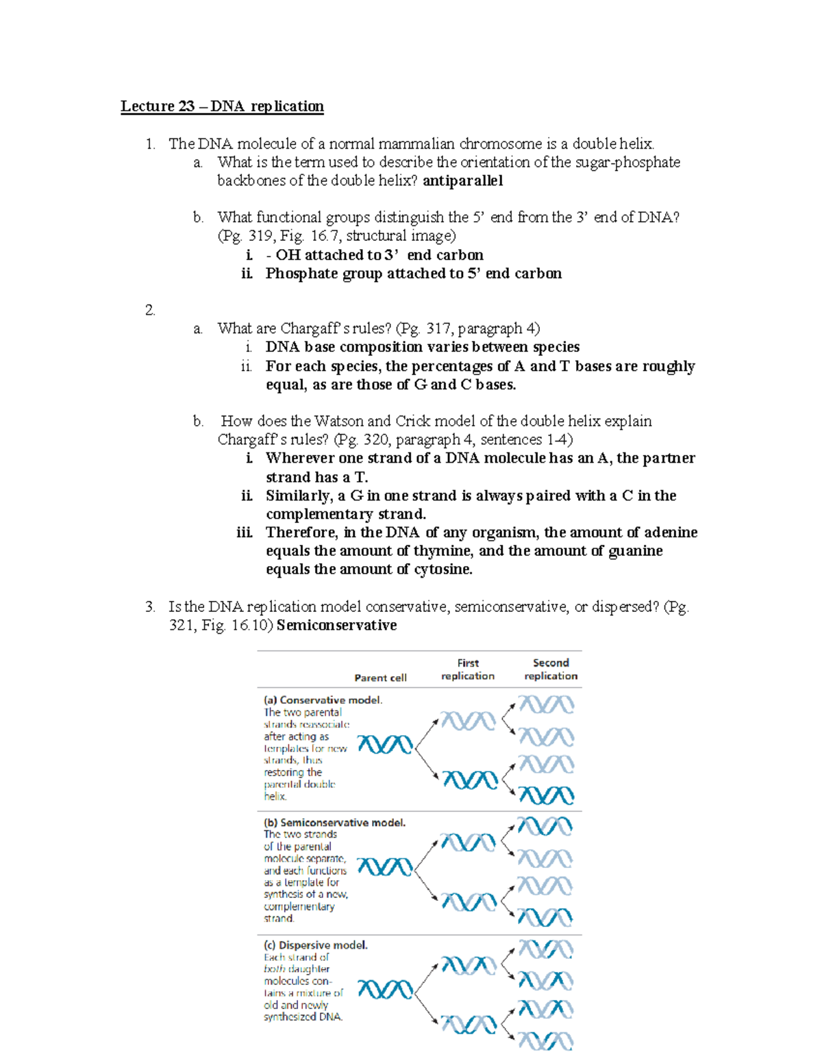 2112 Lecture 23 Study Guide - Lecture 23 – DNA replication The DNA ...