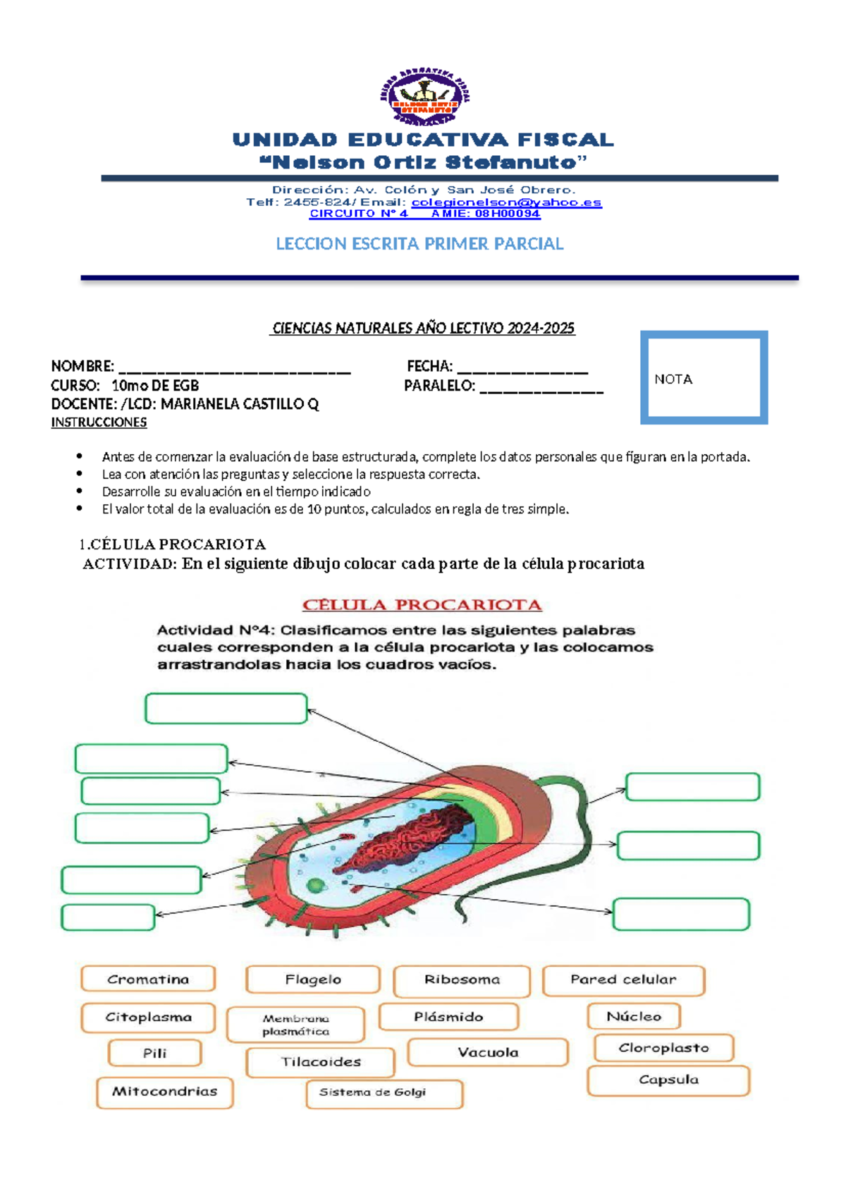 Leccion Escrita DE Ciencias Naturales DE 10MO A Primer Parcial 2024 ...