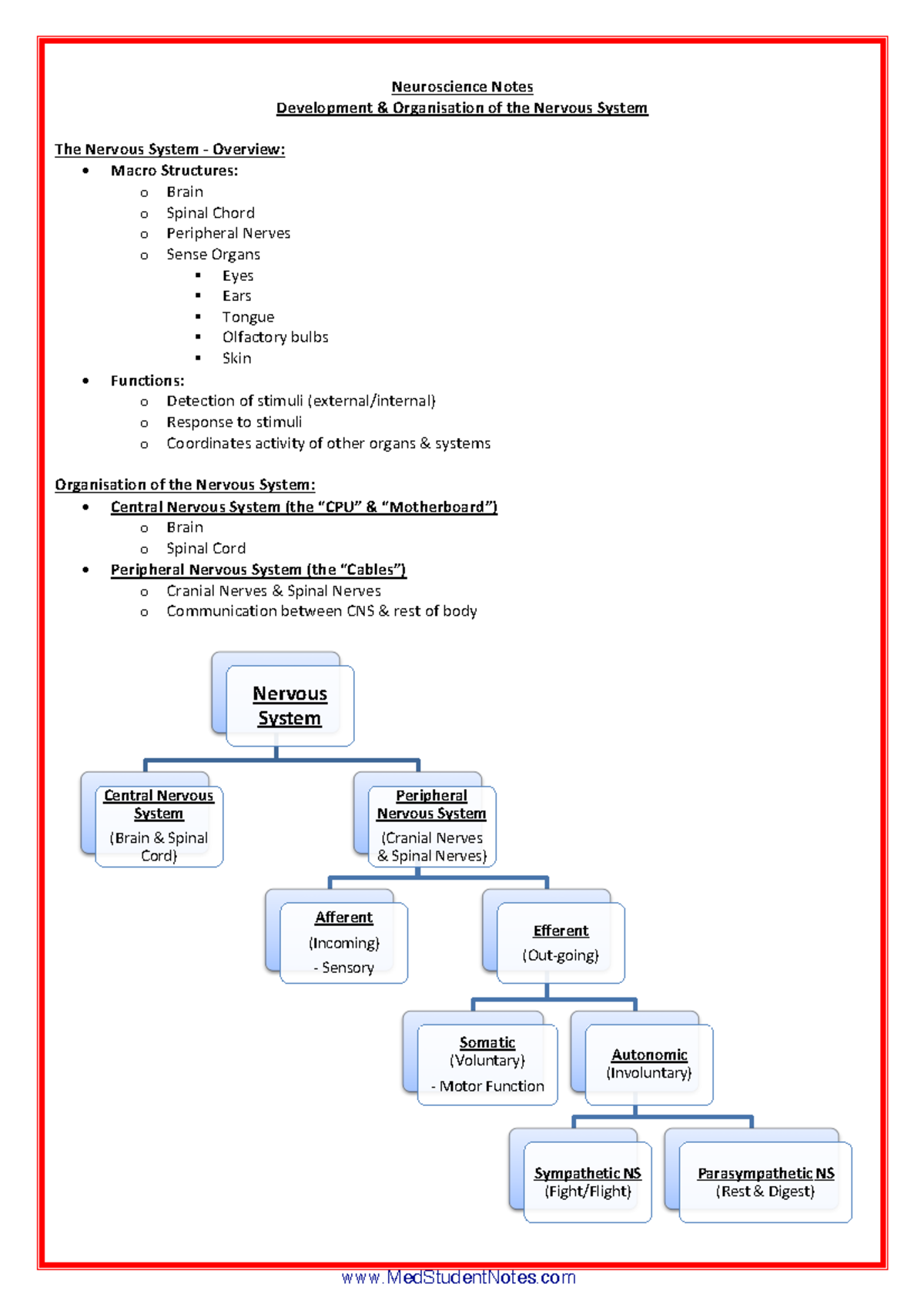 A&P - 1a. Development & Organisation of the Nervous System (10p) - Week ...