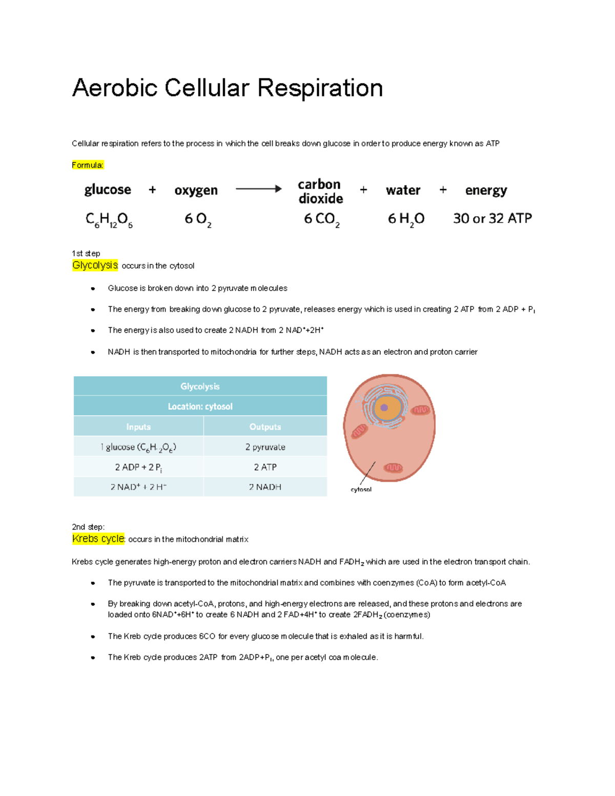 Cellular respiiration - Aerobic Cellular Respiration Cellular ...