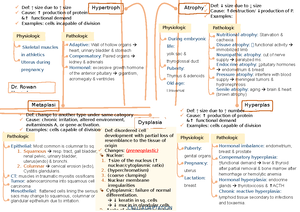 Neoplasia mcq - MCQ OF General pathology course - 1-Pigmented malignant ...