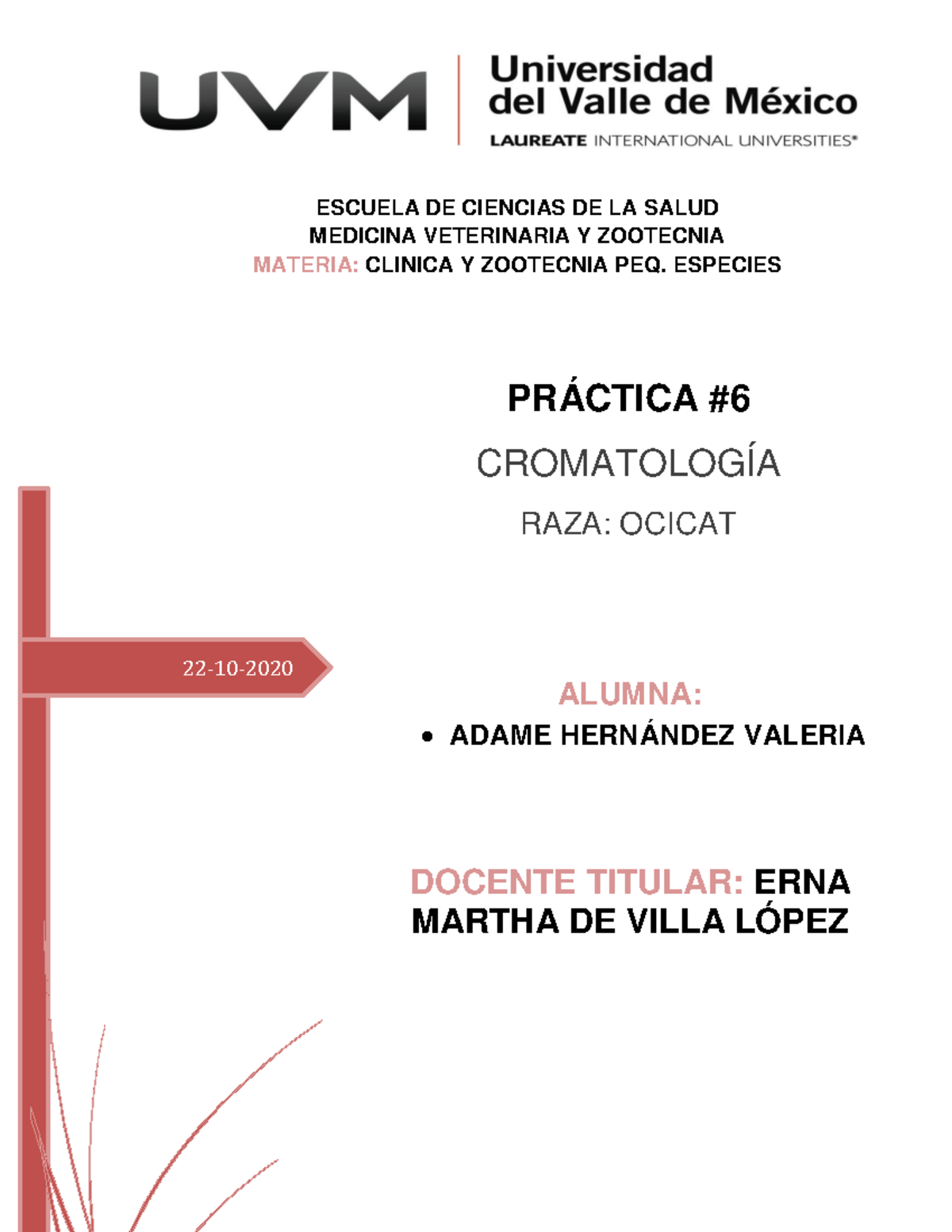 Practica 6 - CROMATOLOGIA - Warning: TT: undefined function: 32 Warning: TT: undefined function ...